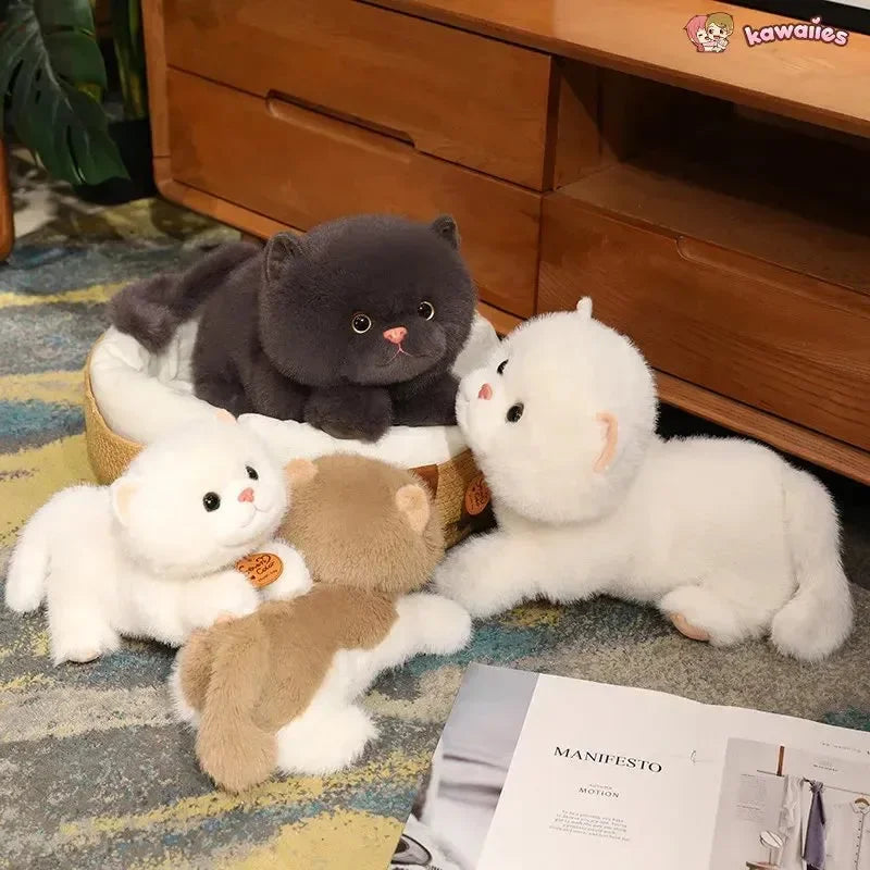 Kitty Comfort Plushies